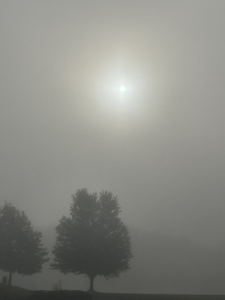 Understanding The Fog Of Grief - Lisa Haines LLC